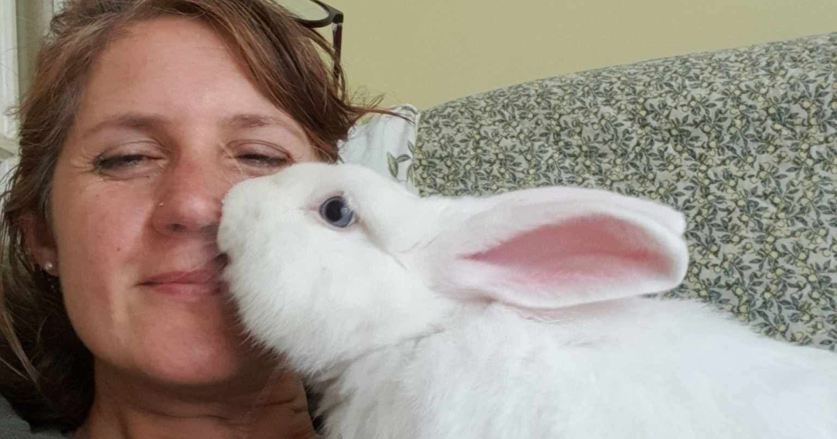 Small Animal Fostering | The Bunnyjackpot Foundation